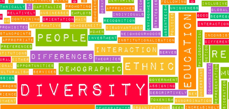 The SRA’s diversity data collection, 2017 - Jonathon Bray